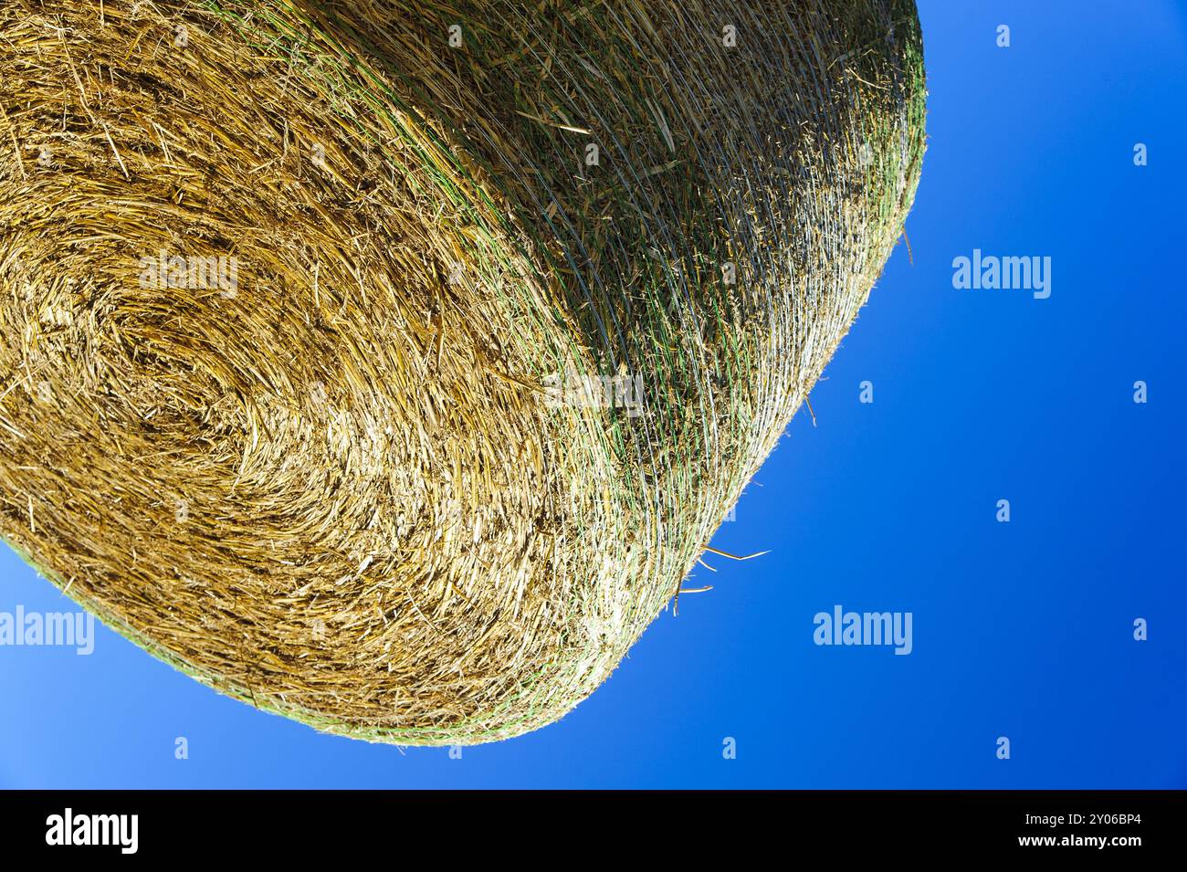 Straw bales from birds hi-res stock photography and images - Alamy