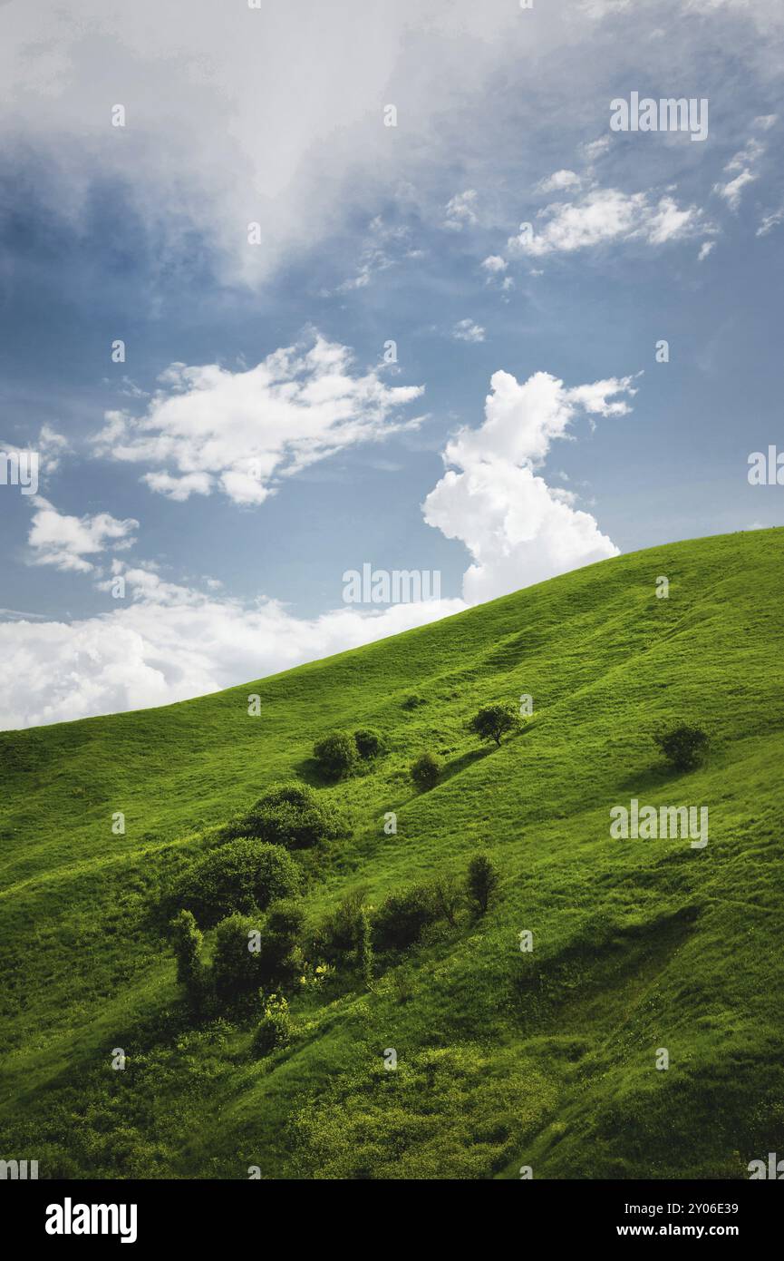 A gentle slope of a green hill with rare trees and lush grass against a ...