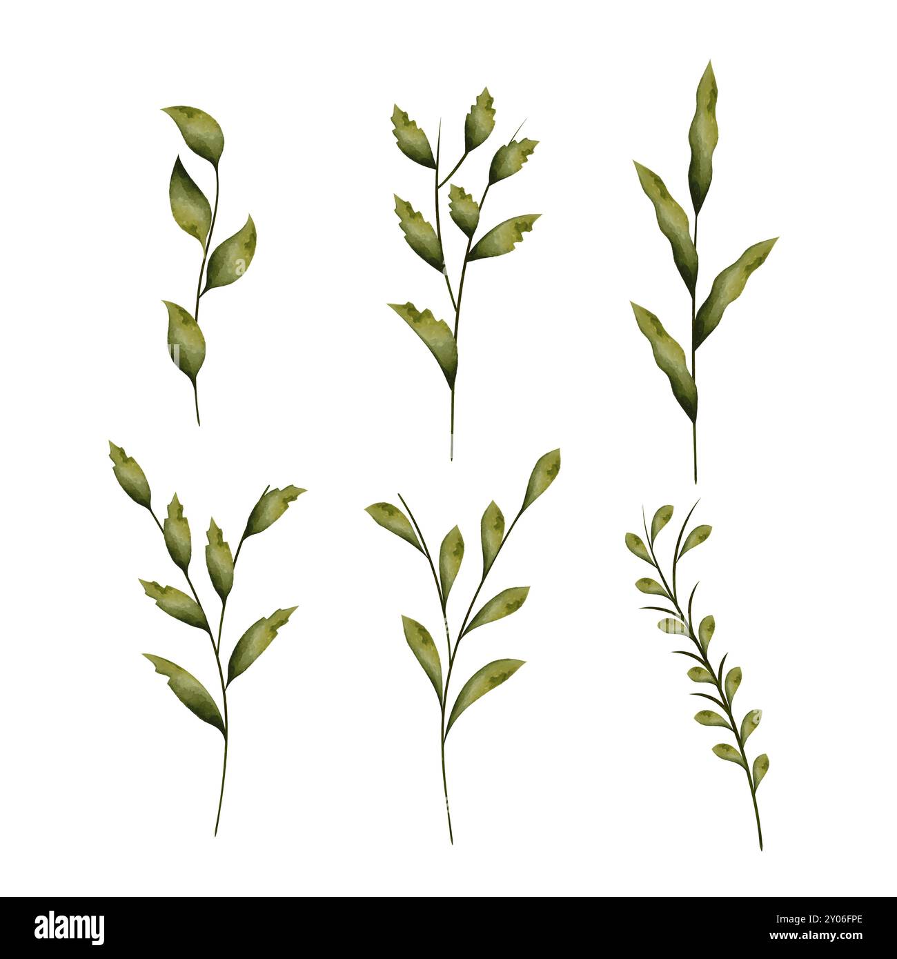 Set forest plants botanical hi-res stock photography and images - Alamy