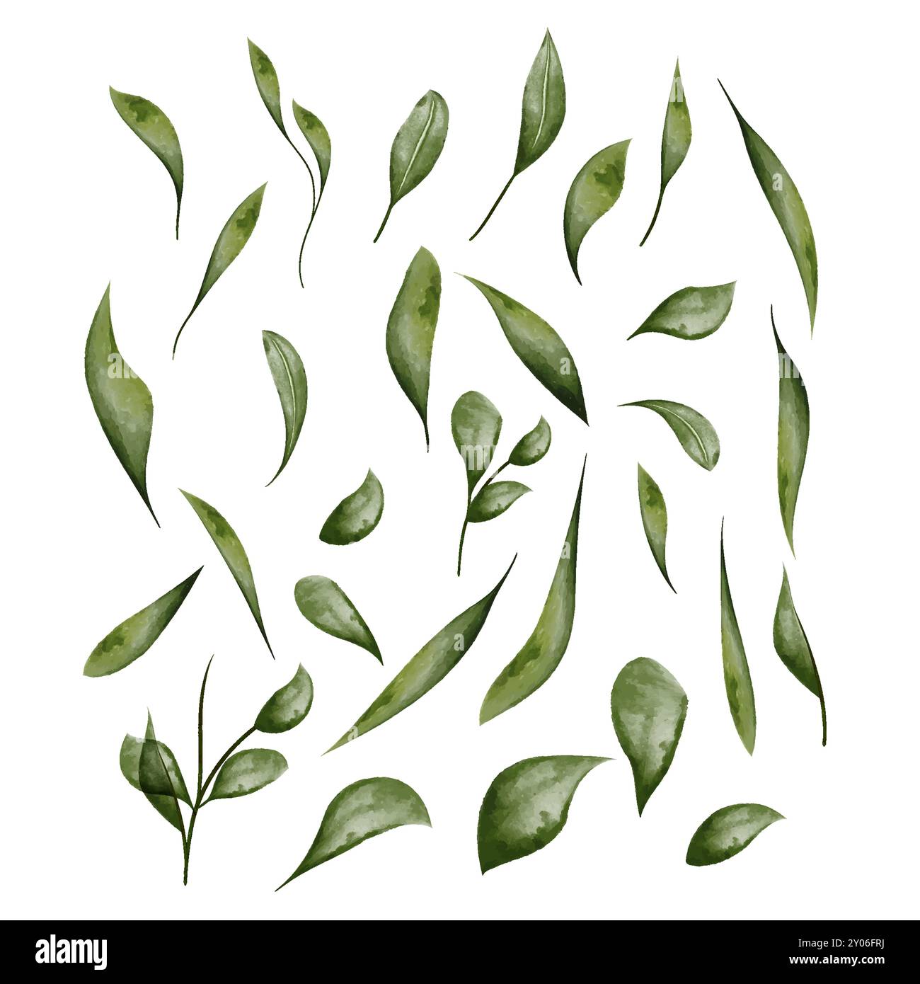 Plants watercolor illustration Stock Vector Images - Alamy