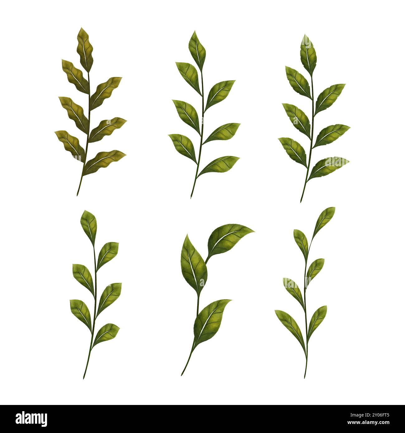 Editable leaves Cut Out Stock Images & Pictures - Alamy