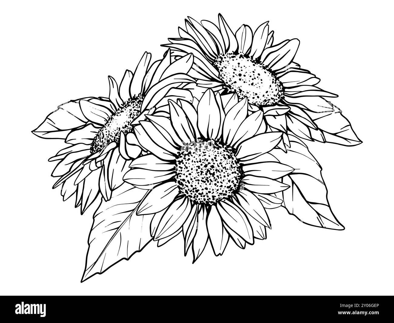 Sunflower Bouquet Drawing