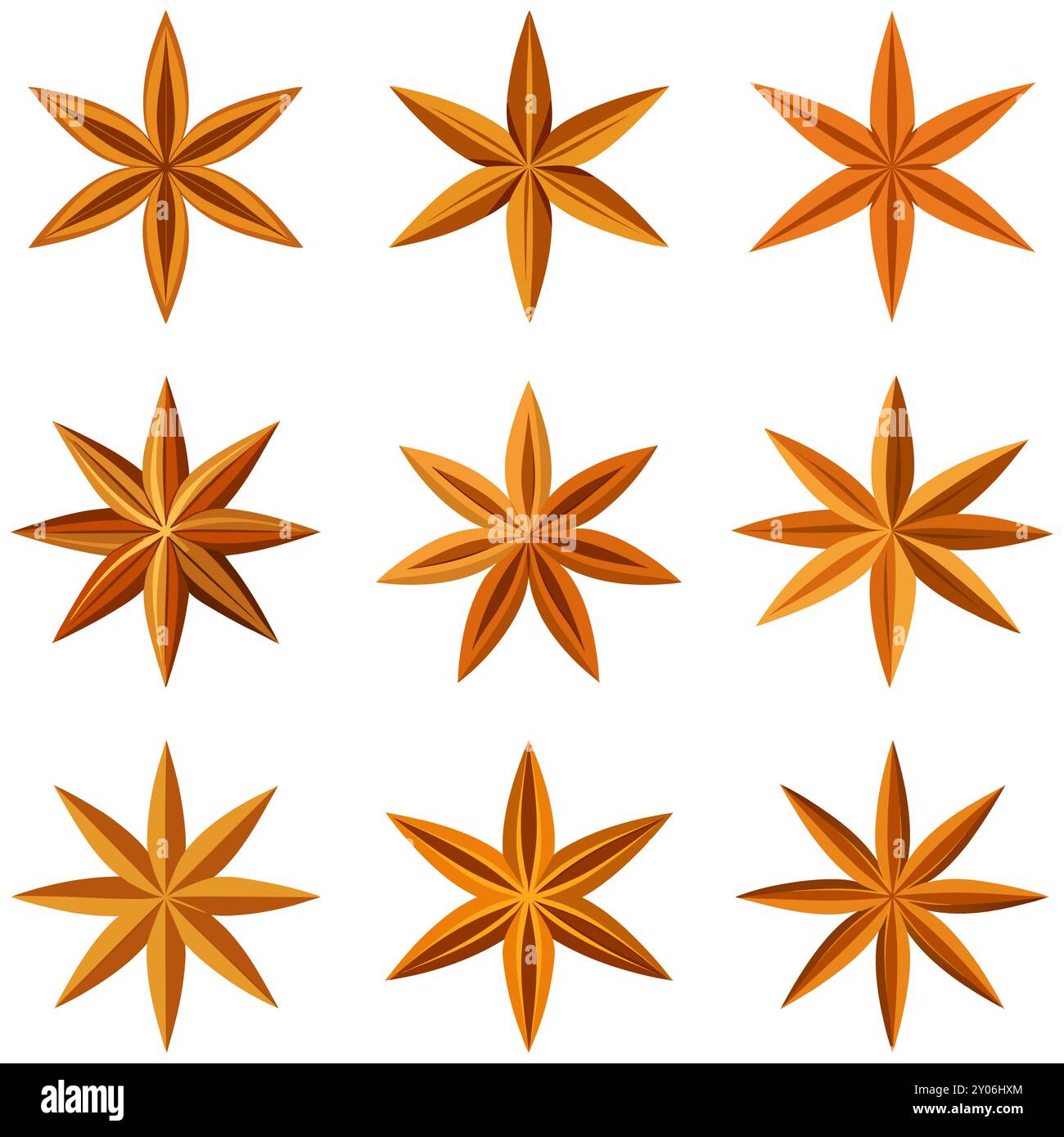 Anise icon. Set of icons of star anise. Anise star icon isolated on ...