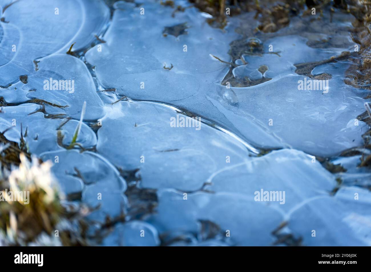 First ice layer hi-res stock photography and images - Alamy