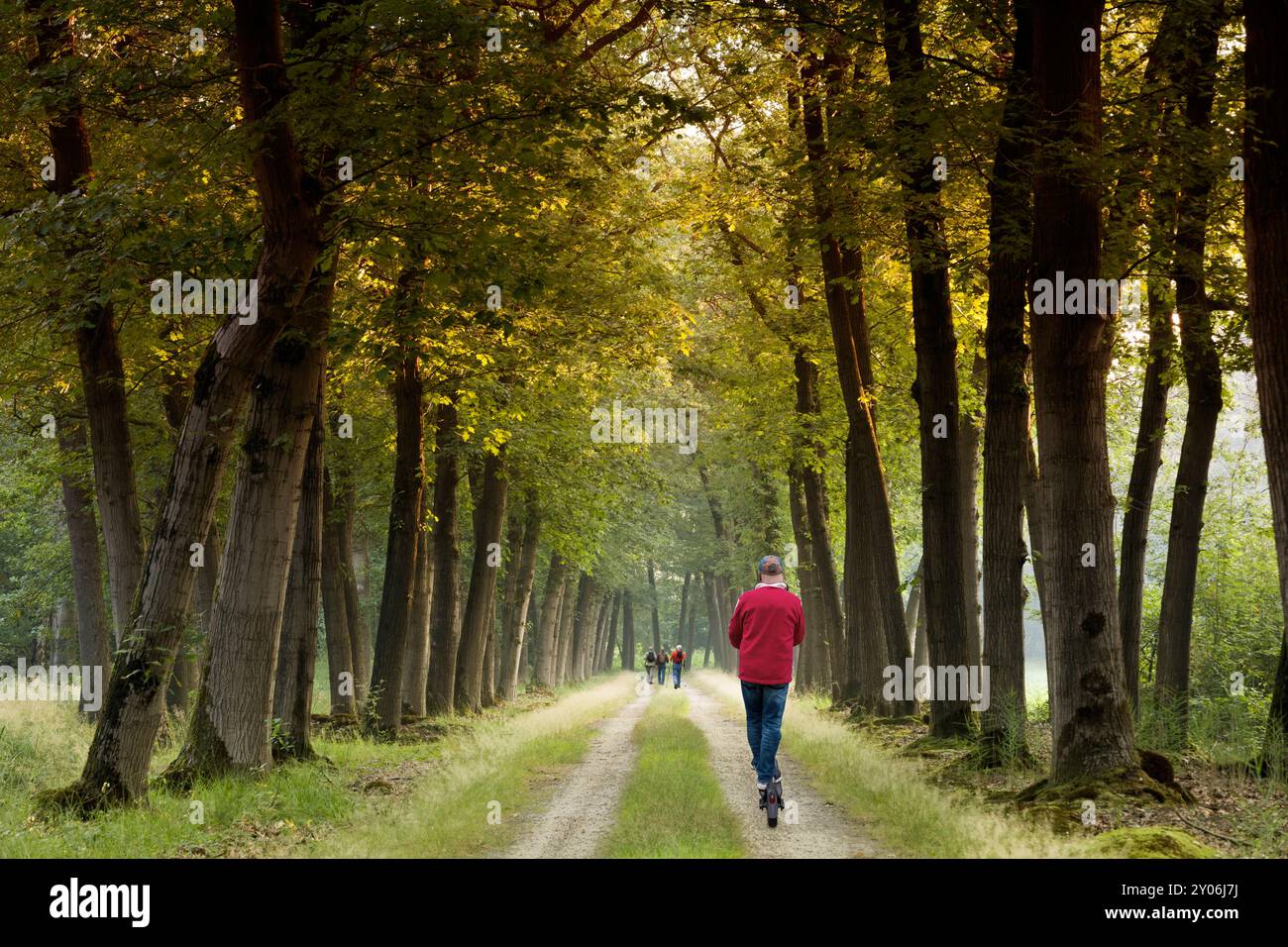 Man takes photos lights hi-res stock photography and images - Alamy