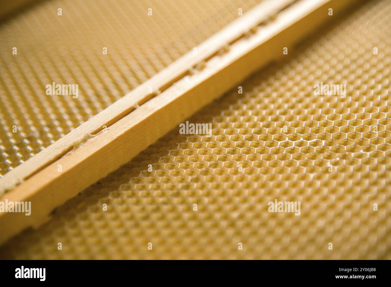A new foundation in a wooden frame. Procurement for the creation of ...