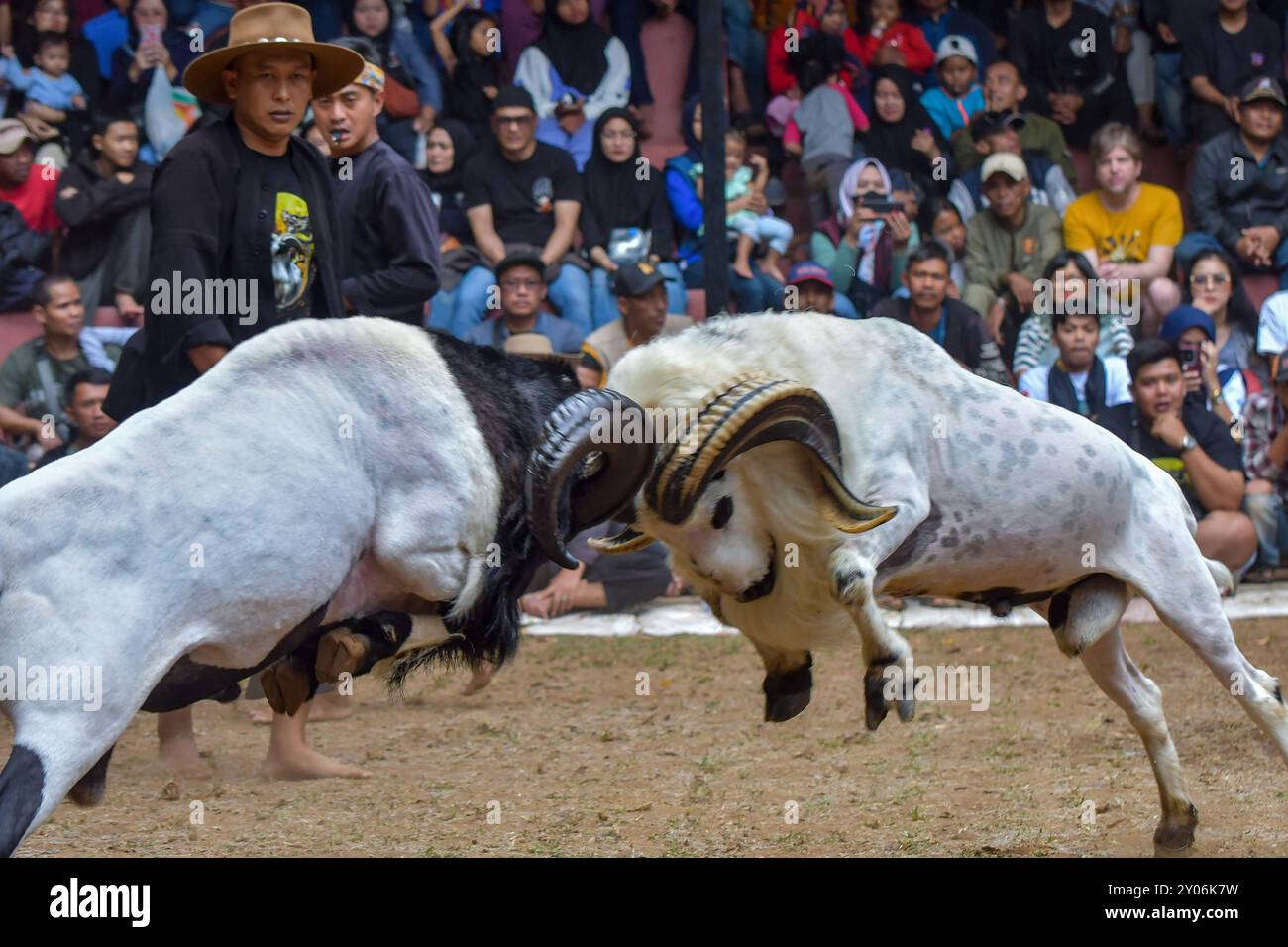 Ram dass hi-res stock photography and images - Alamy