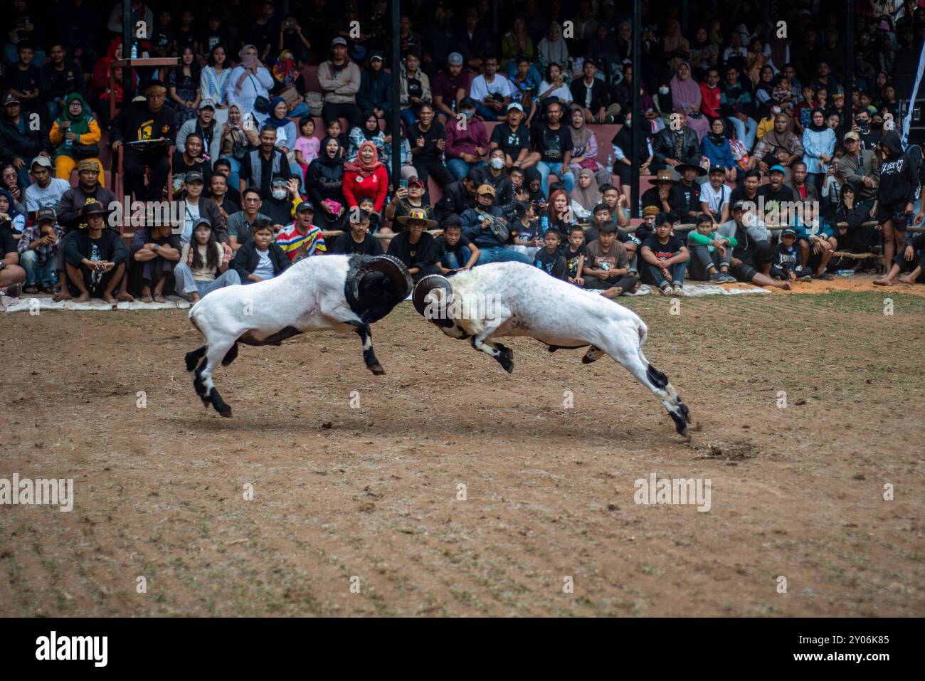 Ram dass hi-res stock photography and images - Alamy