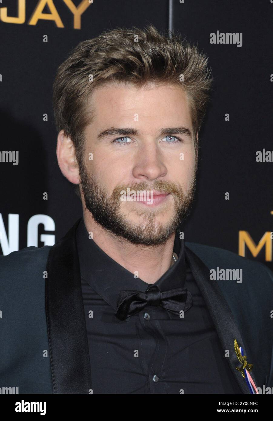 Liam Hemsworth at the Los Angeles premiere of 'The Hunger Games ...