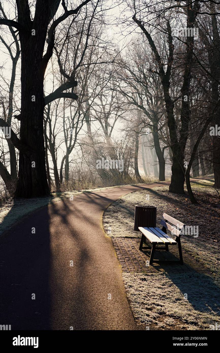 Sunrise in the Rotehornpark in Magdeburg Stock Photo - Alamy