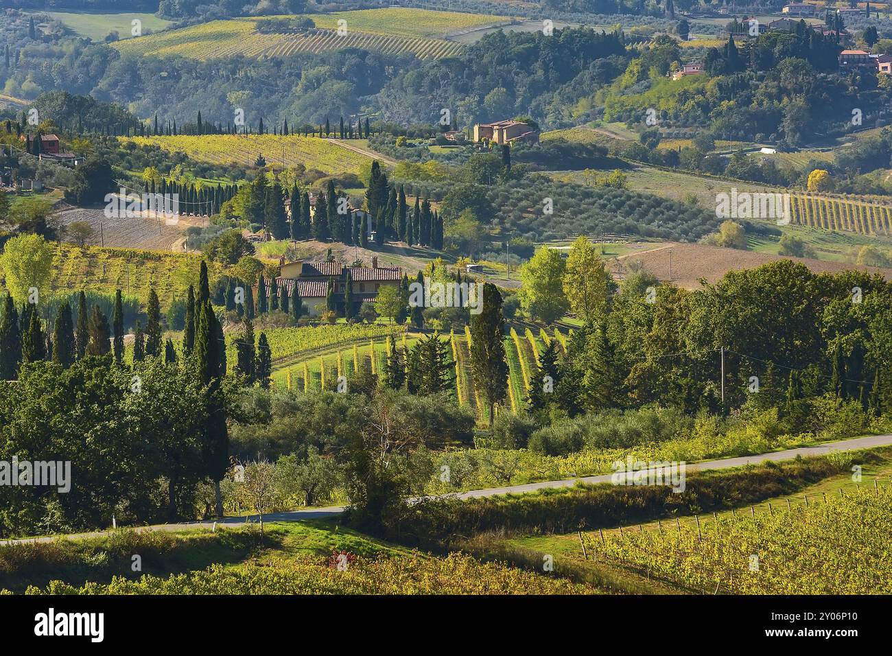 Tuscan landscape with vineyards rows, houses in Tuscany wine region ...