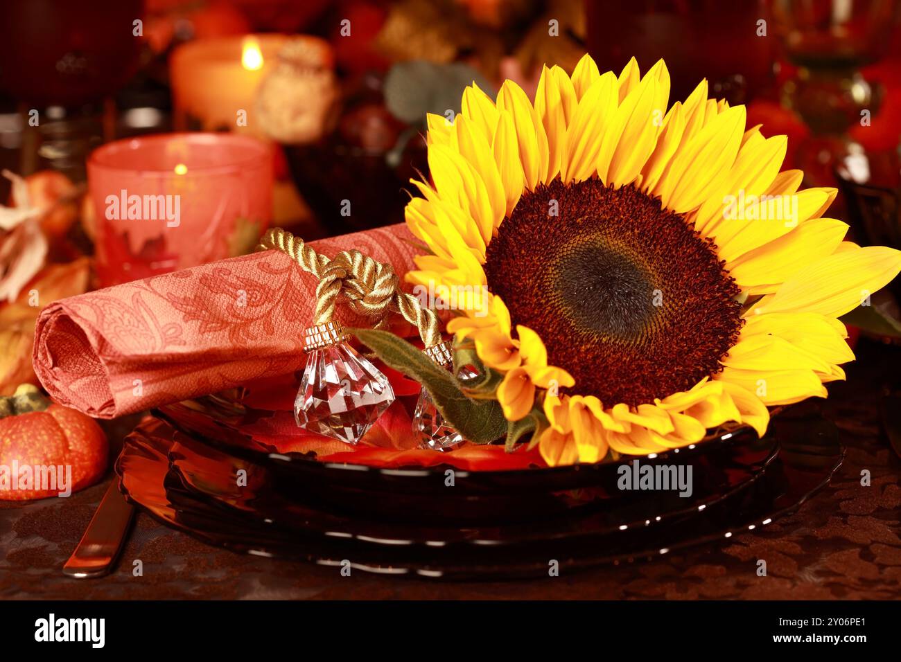 Autumn holidays table setting hi-res stock photography and images - Alamy