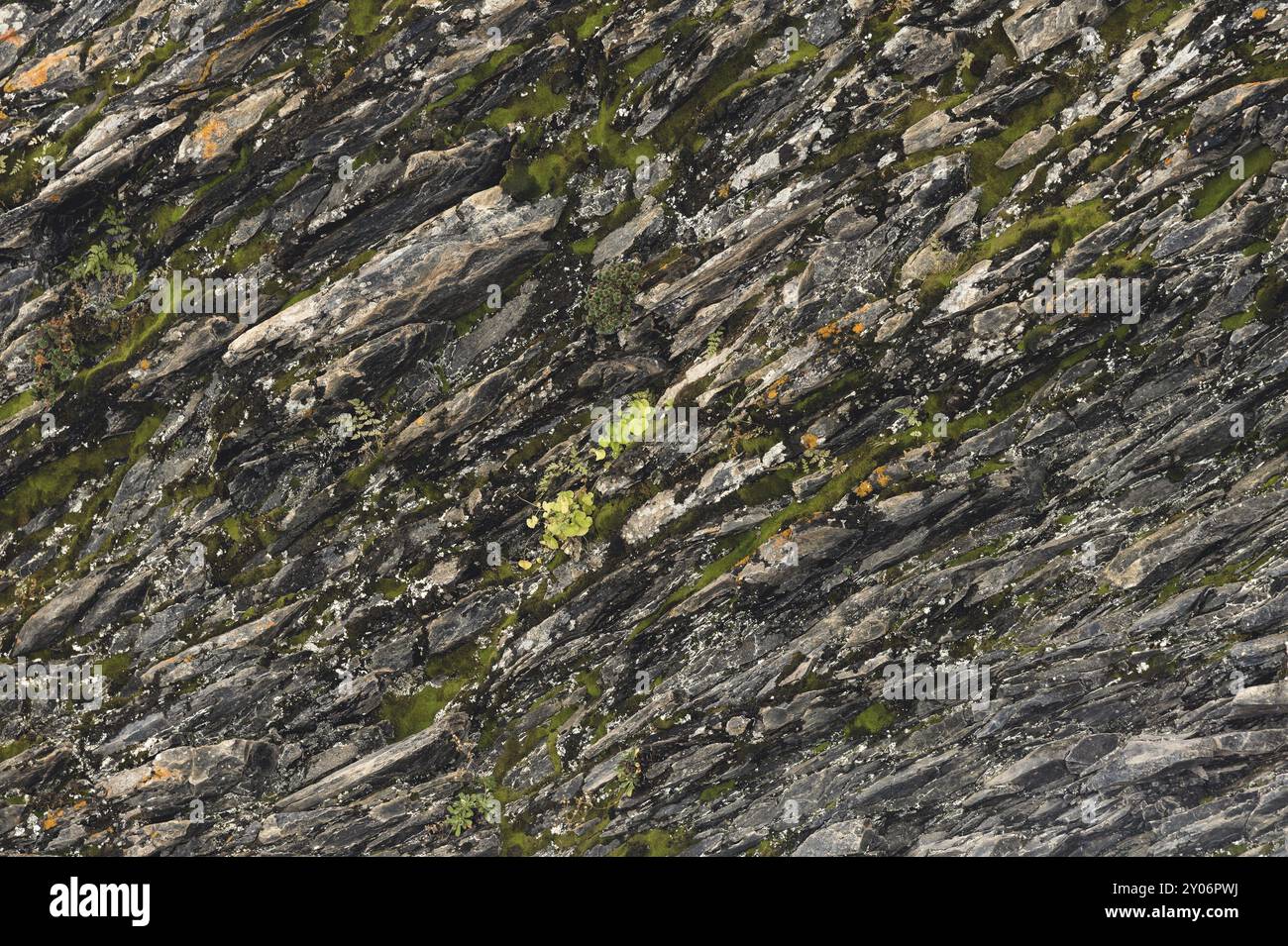 Textured basalt background thin stone fibers in the cut. natural ...