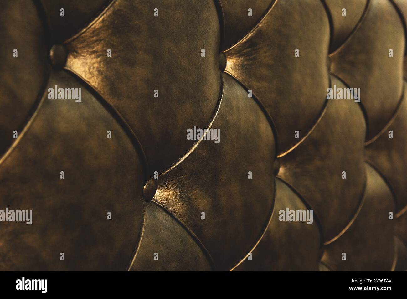 Surface of a rhombic split skin with buttons on the back of the bed ...