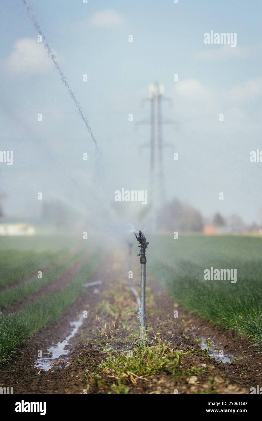 Irrigation plant on an agriculture field, summer day, soil Stock Photo ...