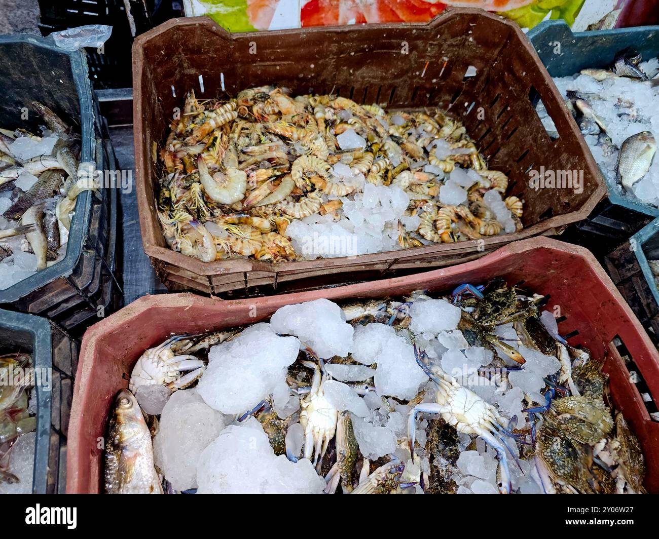 Fresh Seafood background, stack of fresh shrimp and crabs ready to be ...