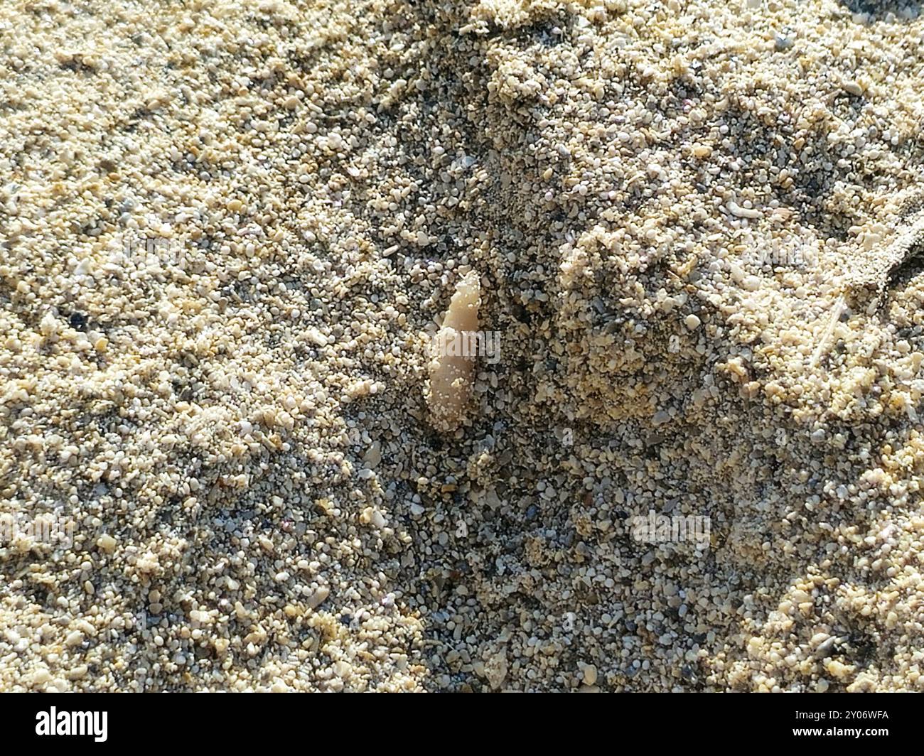 Bilateral movement hi-res stock photography and images - Alamy