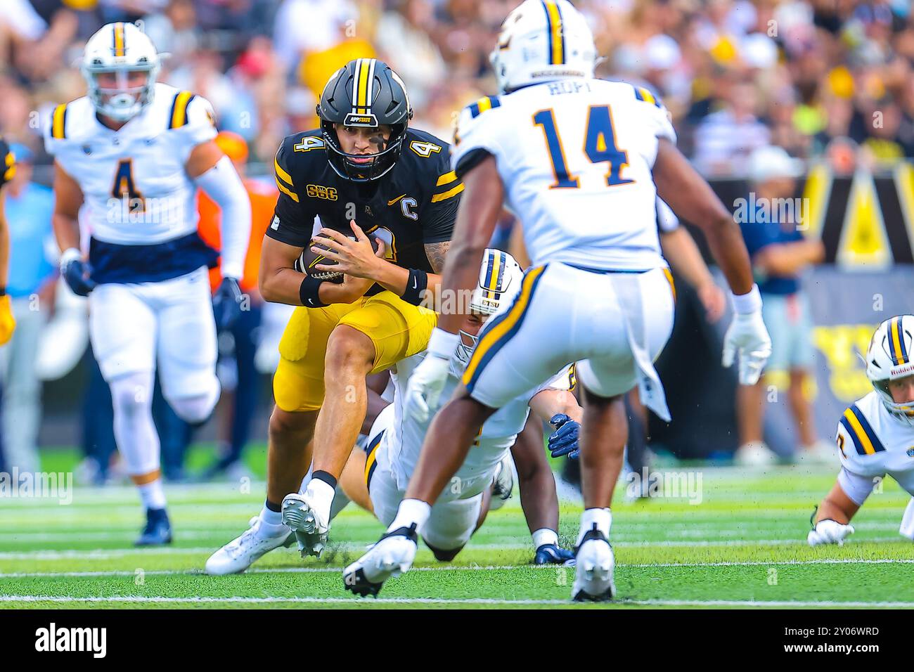 August 31, 2024: App State senior Joey Aguilar (4) tucks the ball in ...