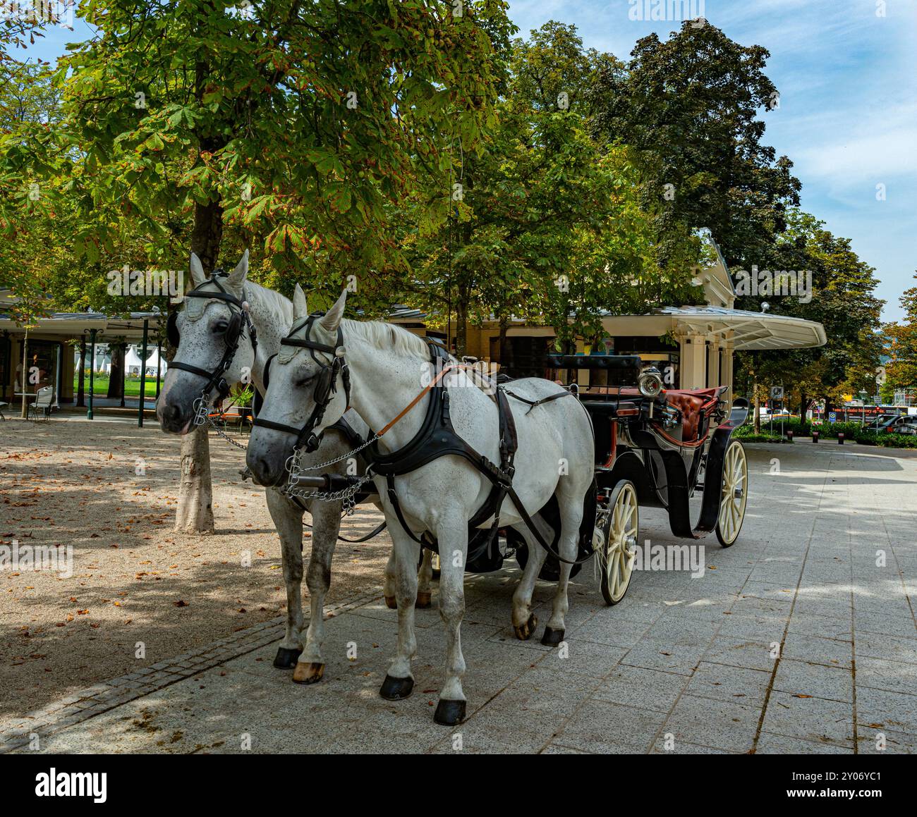Roman horse carriage hi-res stock photography and images - Alamy