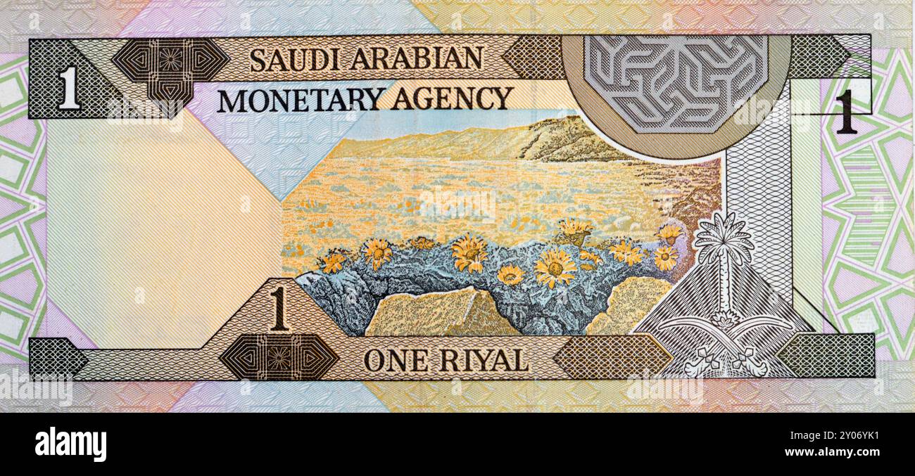 Large fragment of the reverse side of an old Saudi Arabia banknote bill ...