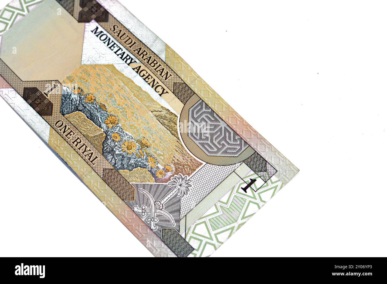 Reverse side of an old Saudi Arabia banknote bill, one 1 Riyal SAR ...