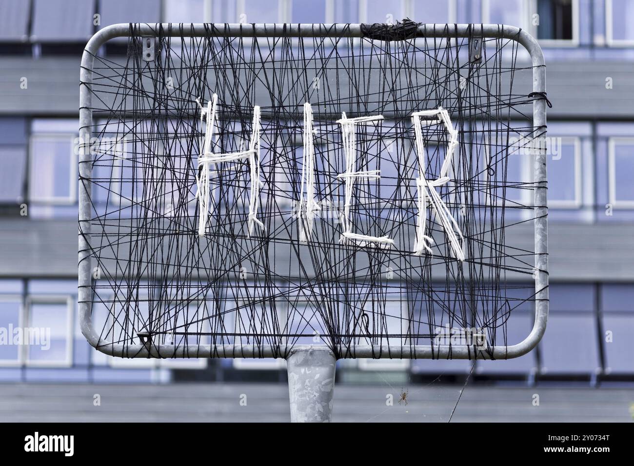 Traffic sign with spider web Stock Photo - Alamy