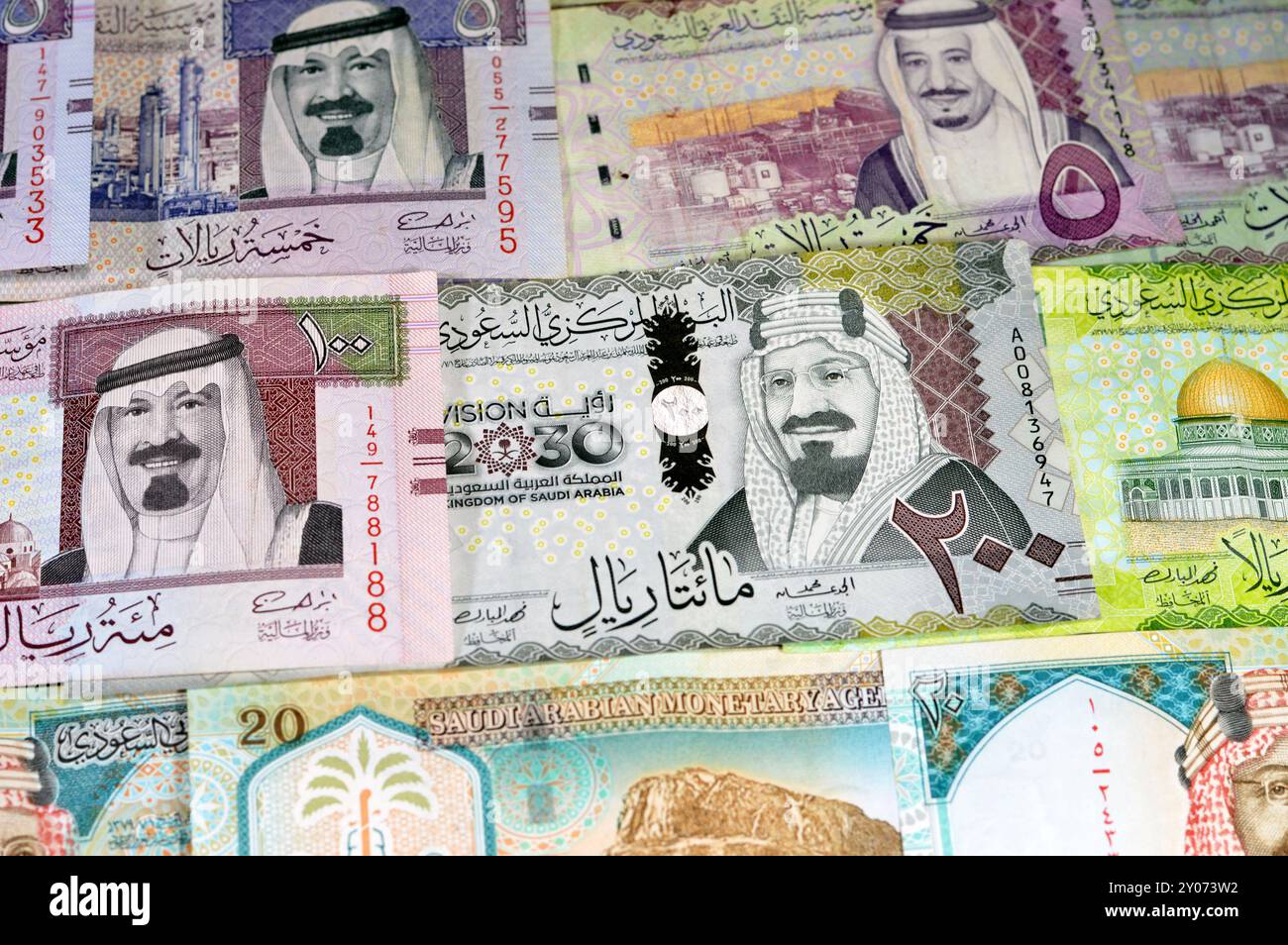 Saudi Arabia money banknotes of riyals bills, of different values ...