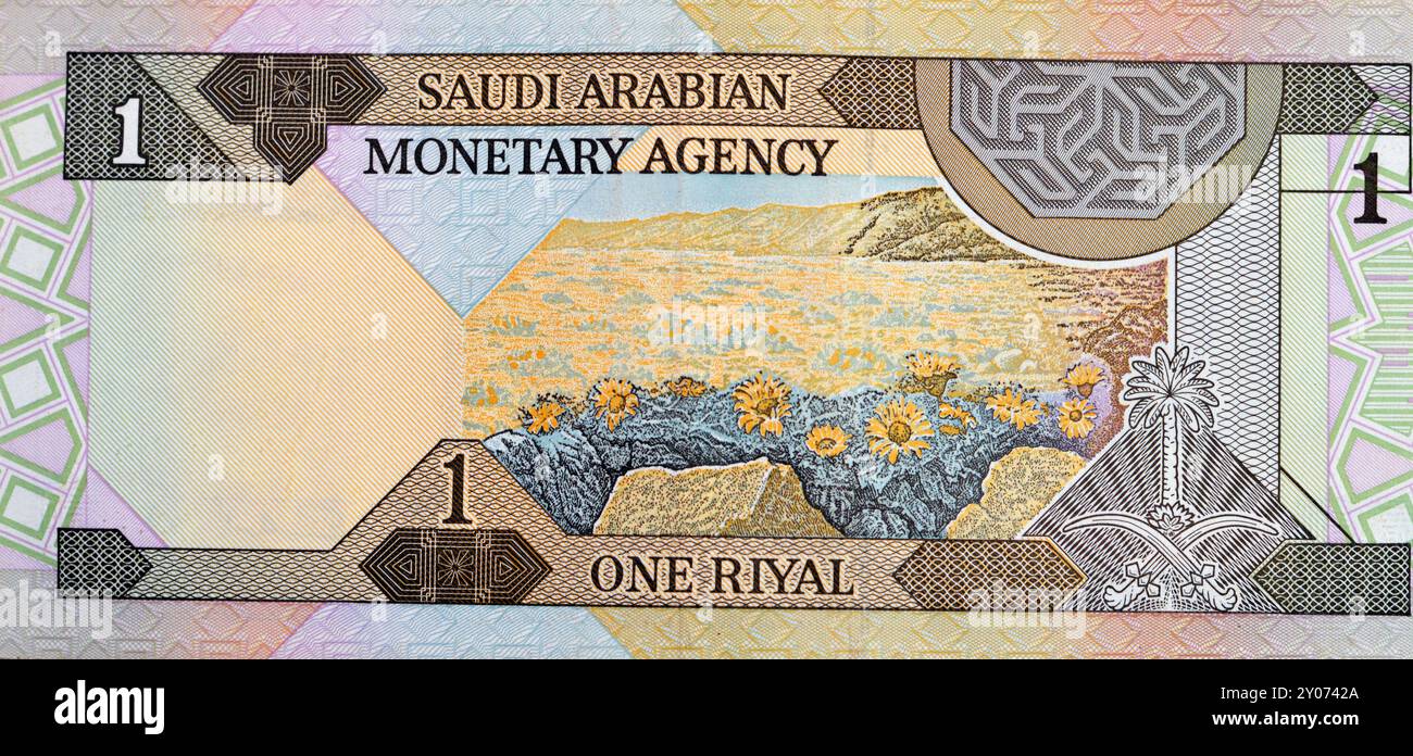 Large fragment of the reverse side of an old Saudi Arabia banknote bill ...