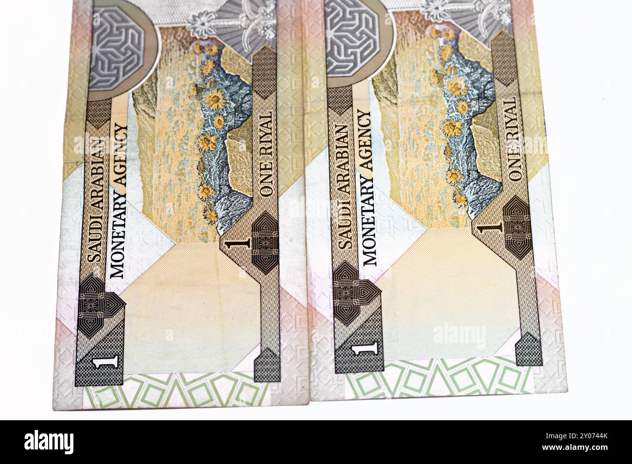 Reverse side of an old Saudi Arabia banknote bill, one 1 Riyal SAR ...