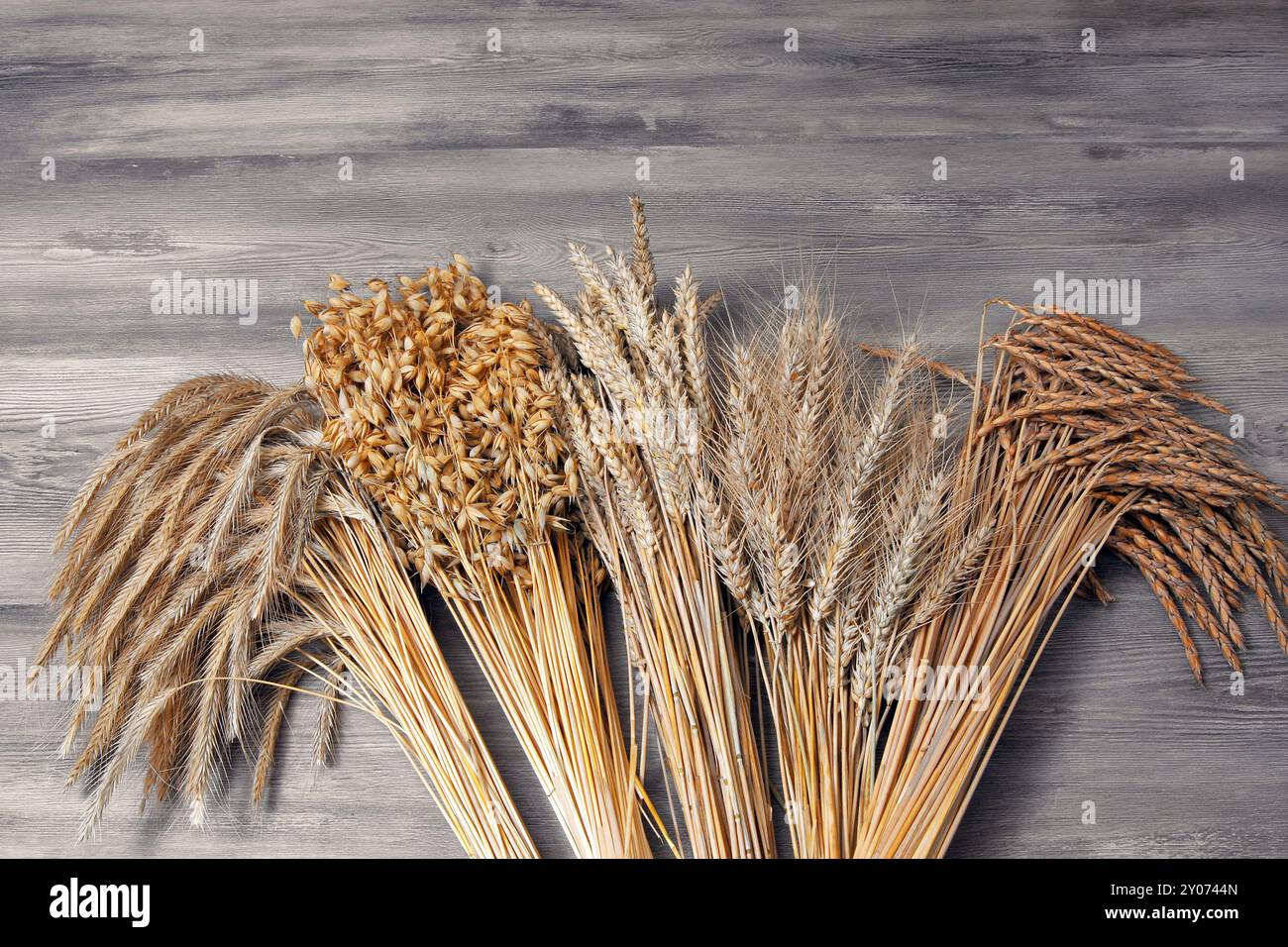 Hulled oat grains hi-res stock photography and images - Alamy