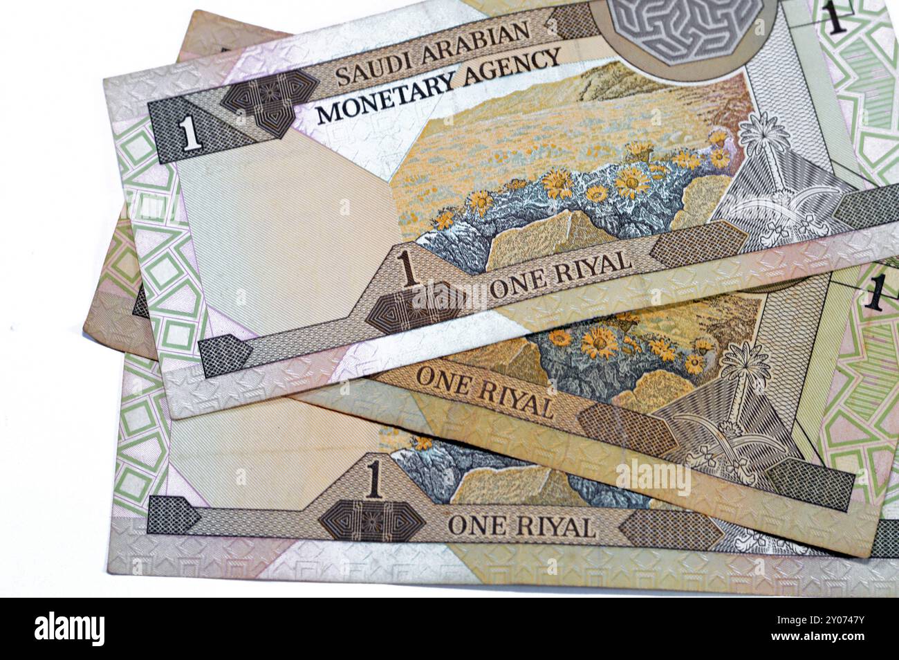 Reverse side of an old Saudi Arabia banknote bill, one 1 Riyal SAR ...