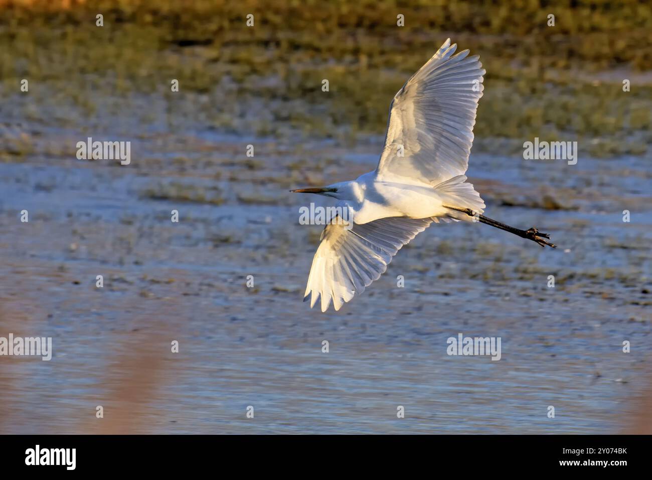Flying over freezing lake in hi-res stock photography and images - Alamy