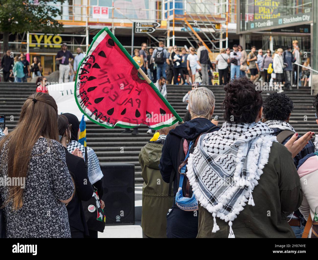 Square watermelon hi-res stock photography and images - Alamy