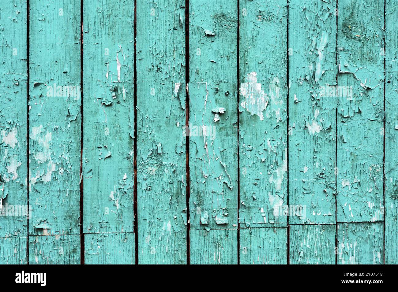 Old boards with cracked cyan paint. Textured wooden old background with ...