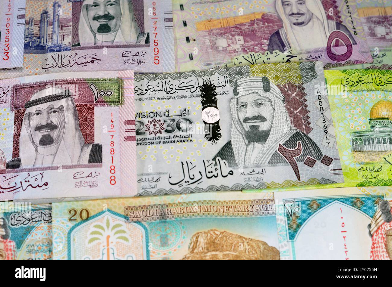 Saudi Arabia money banknotes of riyals bills, of different values ...