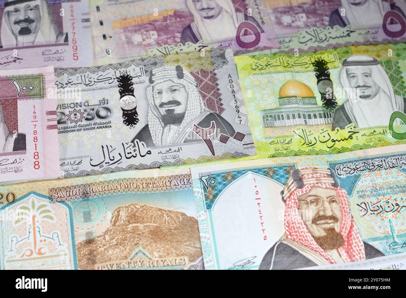 Saudi Arabia money banknotes of riyals bills, of different values ...