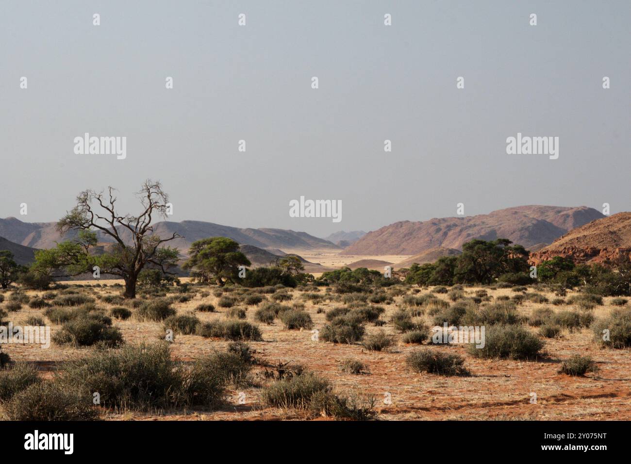 Landscape in Namibia Stock Photo - Alamy