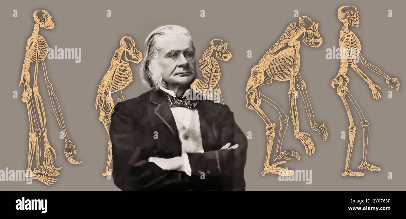 Portrait of Thomas Henry Huxley, 1825 – 1895, English biologist and ...