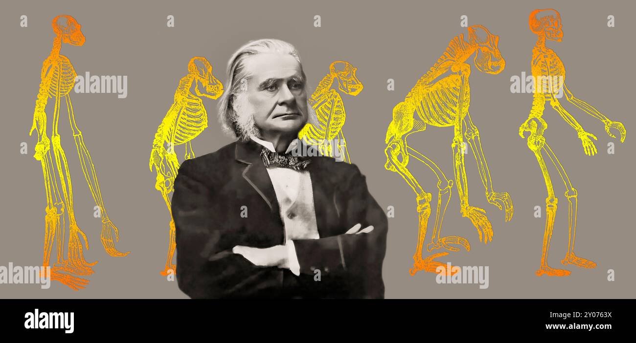 Portrait of Thomas Henry Huxley, 1825 – 1895, English biologist and ...