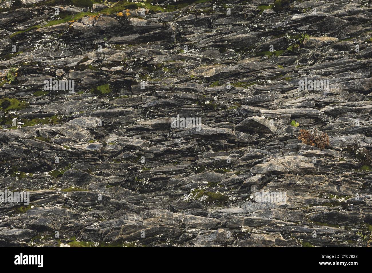 Textured basalt background thin stone fibers in the cut. natural ...