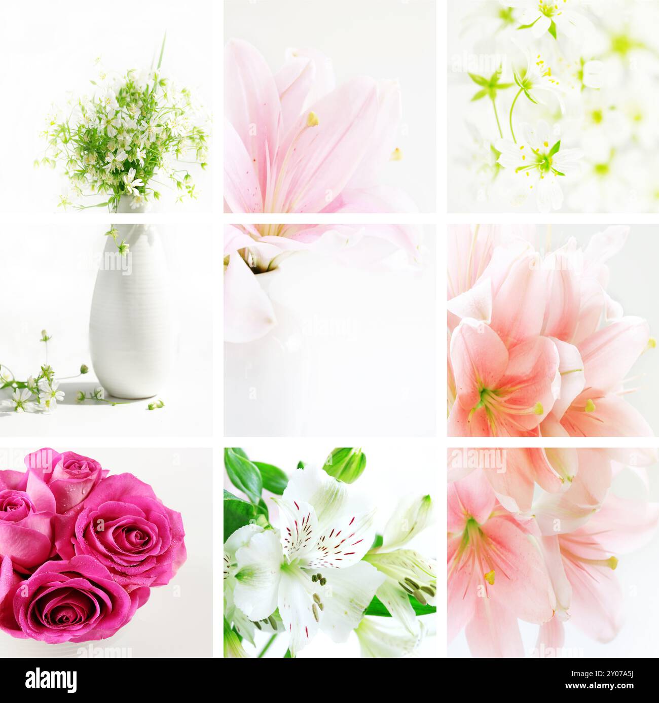 Collage of beautiful flowers in fresh colours Stock Photo - Alamy