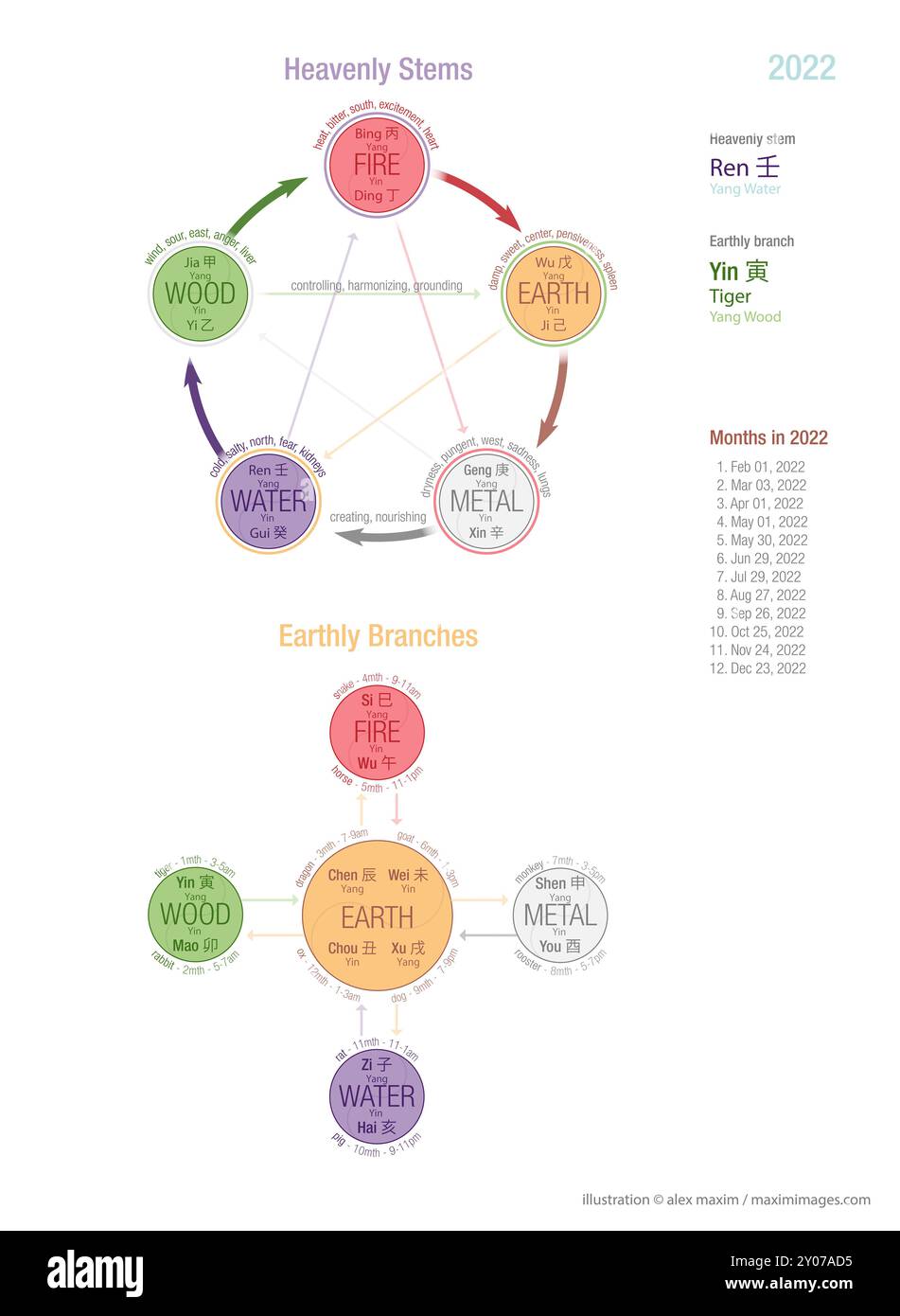 Chinese zodiac and elements chart 60 photos - Youhoroscope.com