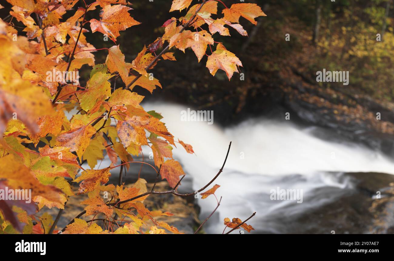 Cascade waterfall fall nature scenery. Stubbs Falls, Arrowhead ...