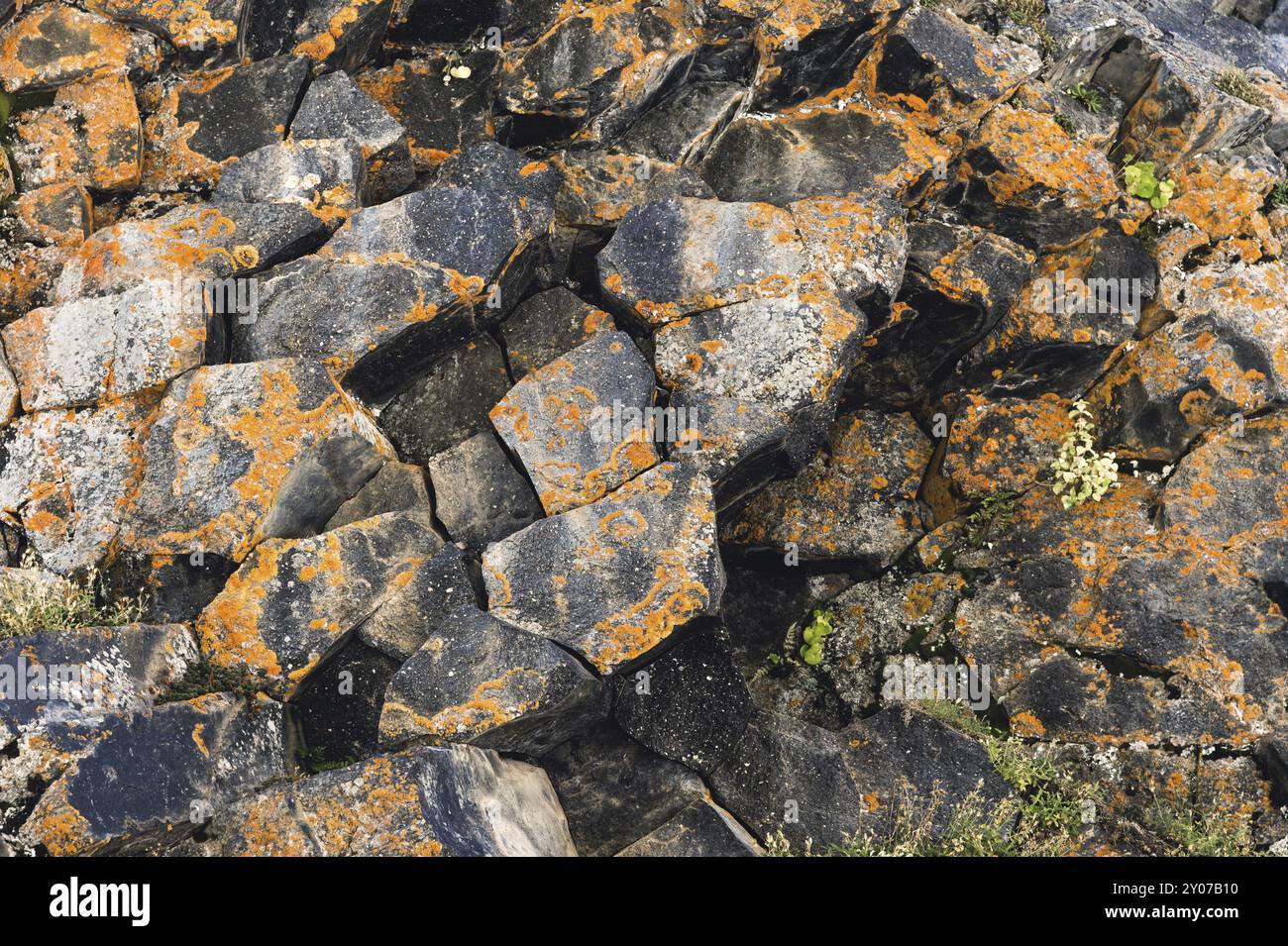Textured basalt background hexagonal stone pillars in a section ...