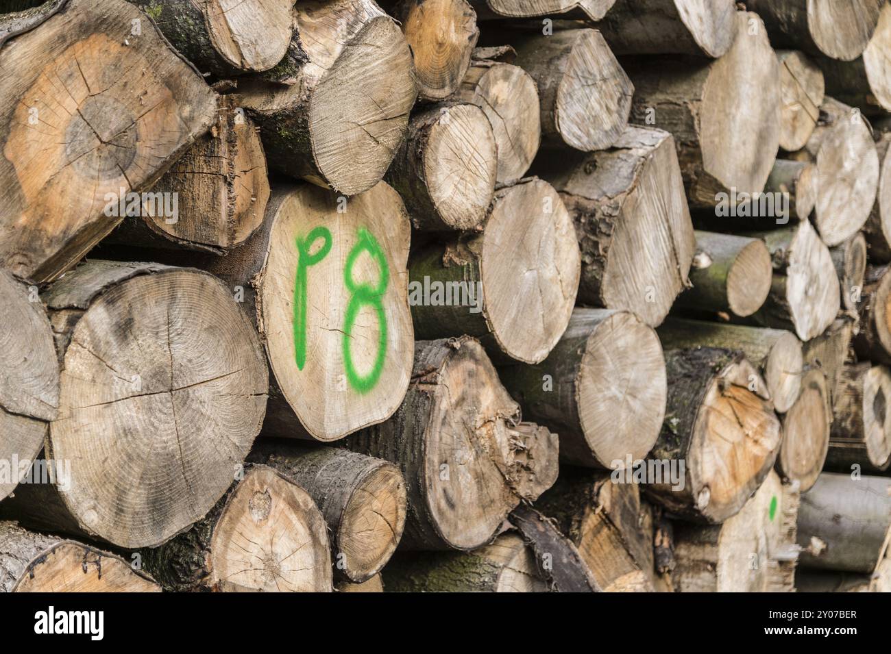 Stacked and labelled logs Stock Photo - Alamy