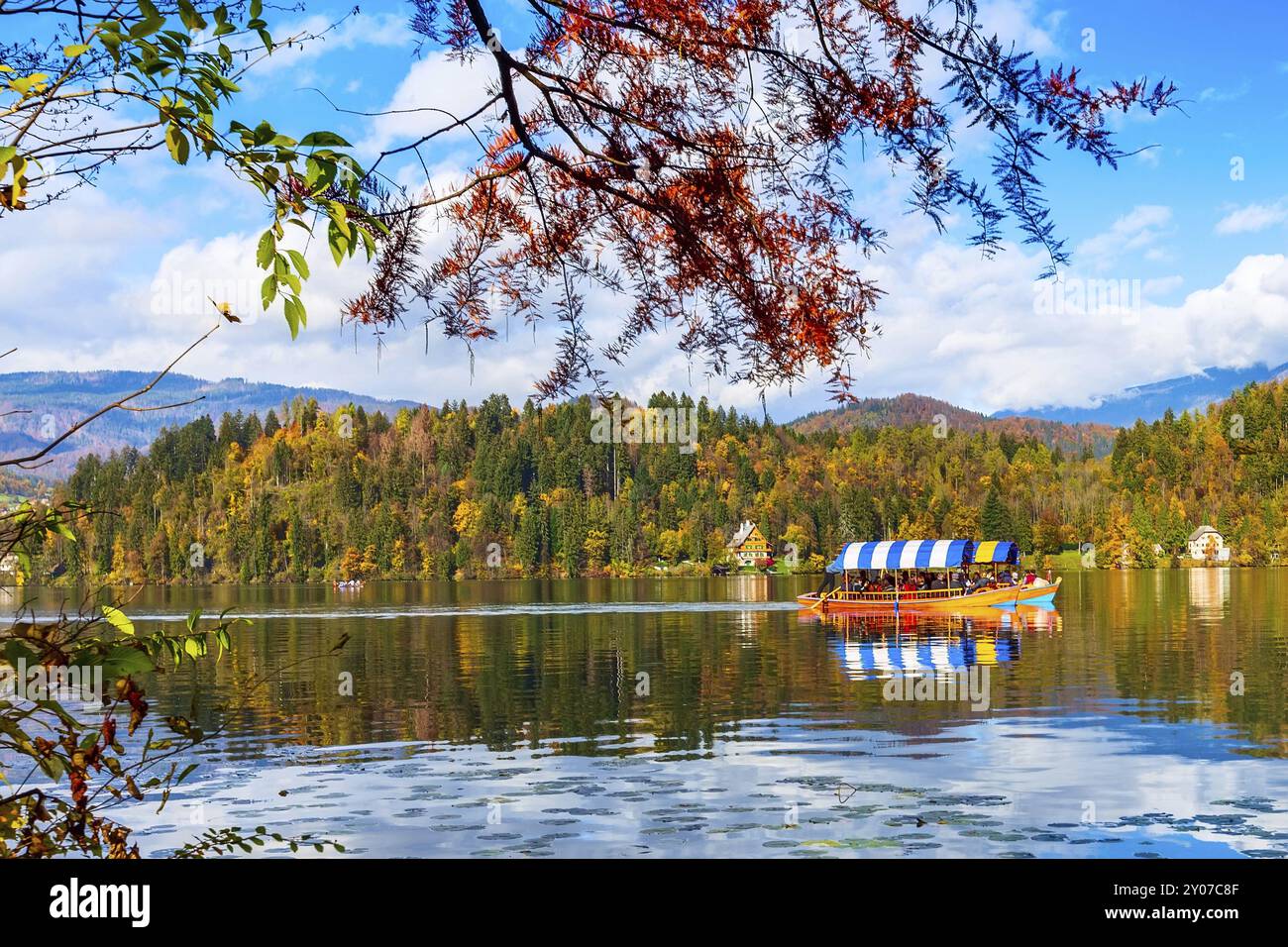 Slovenia Lake Bled with traditional Pletna boat, autumn colorful trees ...
