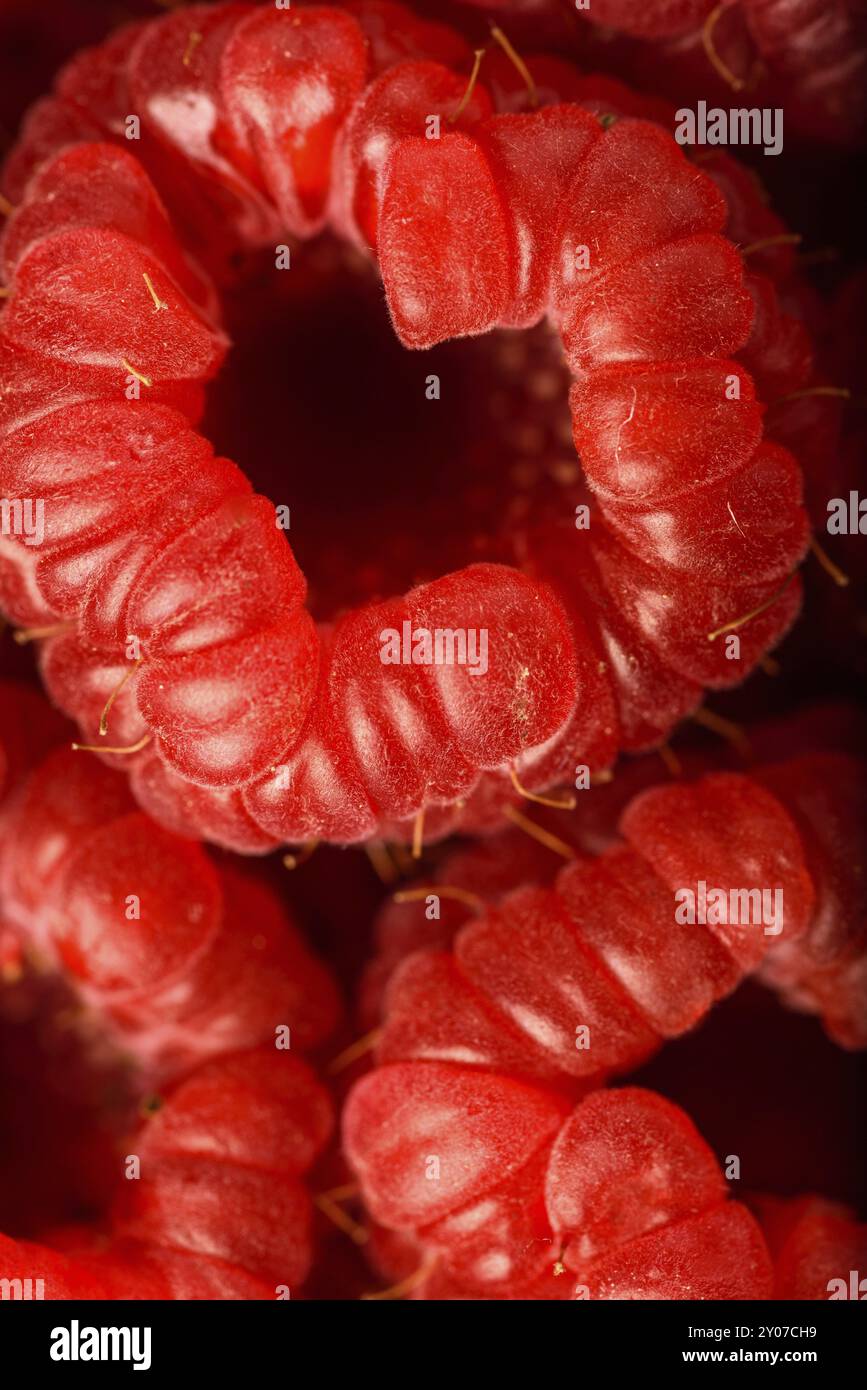 Raspberry closeup detailed macro Stock Photo - Alamy