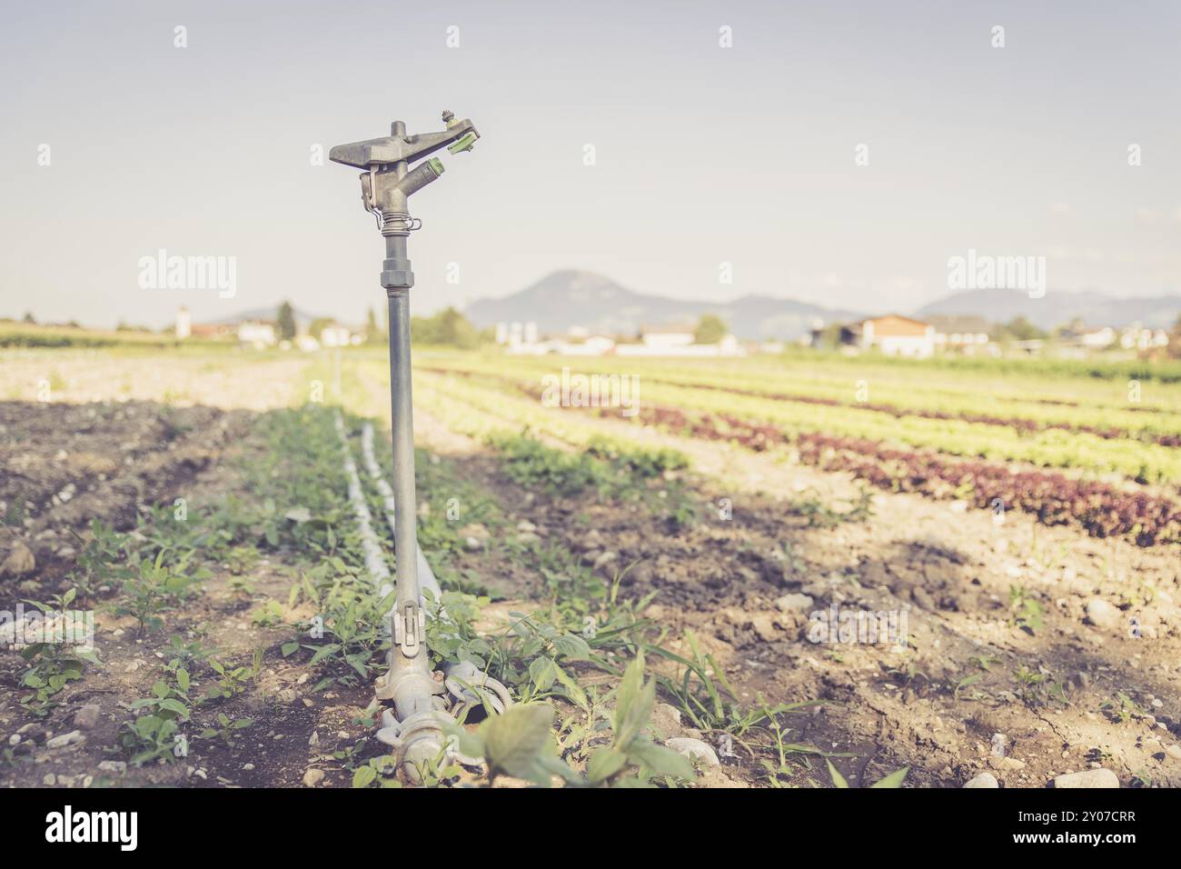 Irrigation plant on an agriculture field, summer day, soil Stock Photo ...