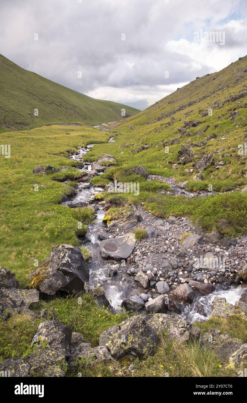 The mountain cold river in caucasian gorge Stock Photo - Alamy