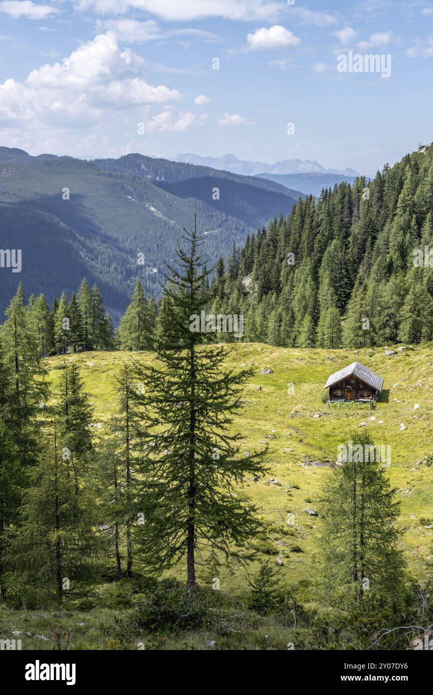 Alpine qualities hi-res stock photography and images - Alamy